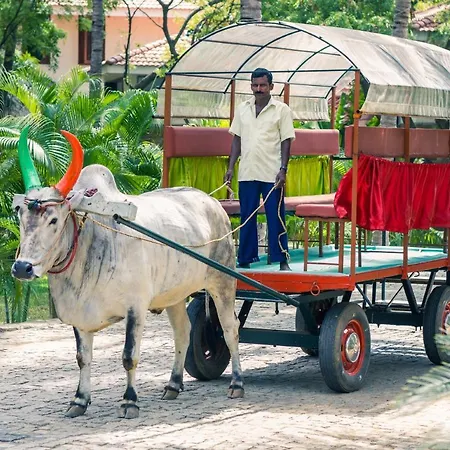 Esthell Village Resort Mahabalipuram: 4 star Hotel with a Minimum Price ...